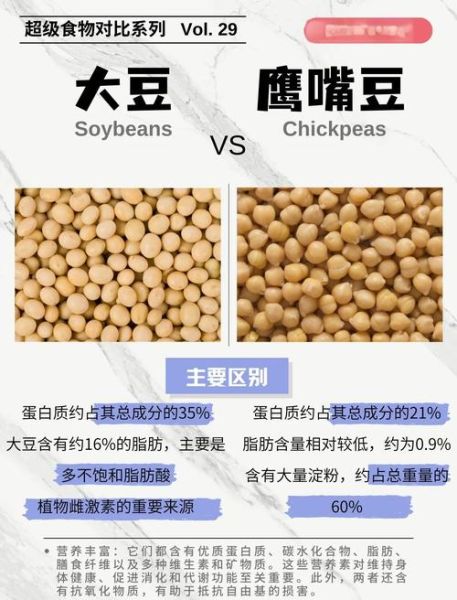 鹰嘴豆的功效与禁忌_鹰嘴豆适合什么人吃-第3张图片-山城妙识