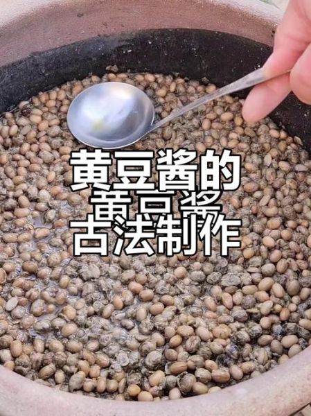 怎么发酵黄豆酱窍门_黄豆酱发酵失败原因-第3张图片-山城妙识 怎么发酵黄豆酱窍门_黄豆酱发酵失败原因-第3张图片-山城妙识