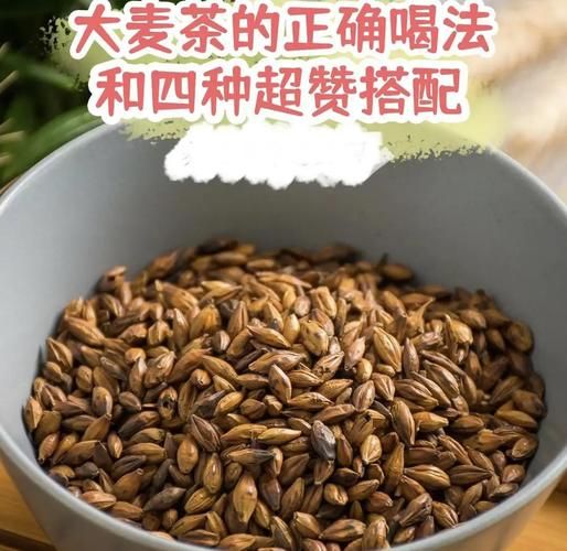 大麦茶和什么搭配好_大麦茶最佳搭配推荐-第1张图片-山城妙识