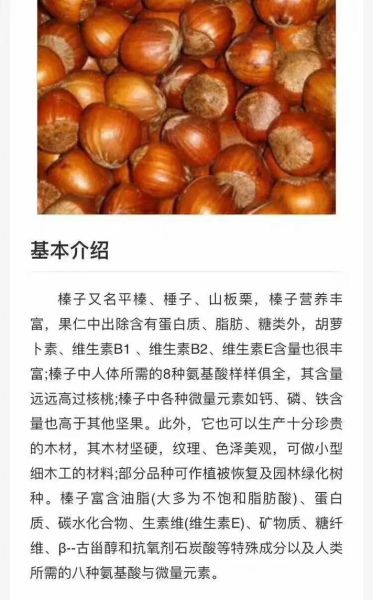 榛子怎么吃好吃_榛子一天吃多少粒合适-第3张图片-山城妙识