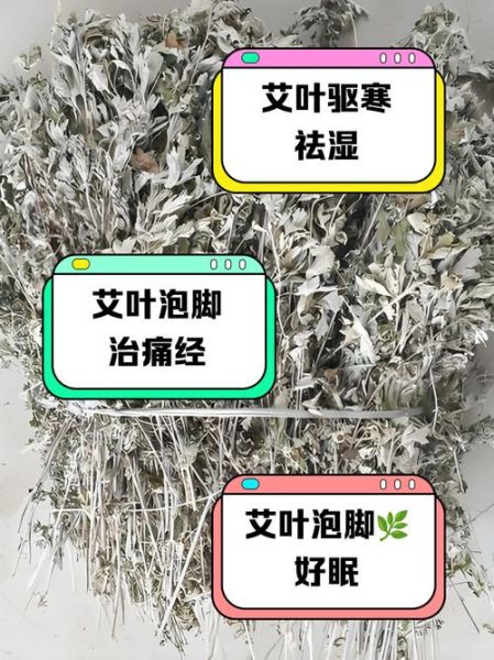 艾叶泡脚的功效与作用禁忌孕妇_孕妇能用艾叶泡脚吗-第3张图片-山城妙识