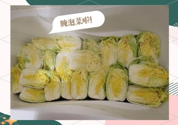 韩国泡菜大白菜怎么腌制_正宗做法视频教程-第3张图片-山城妙识