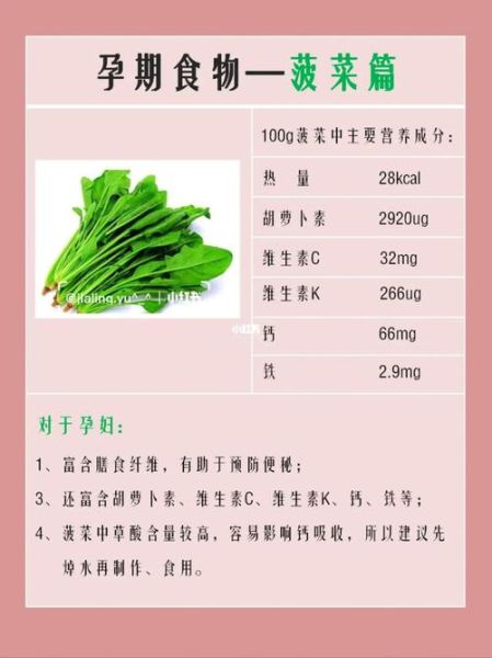 菠菜的营养价值_会上火吗-第3张图片-山城妙识