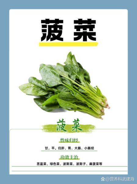 菠菜的营养价值_会上火吗-第1张图片-山城妙识