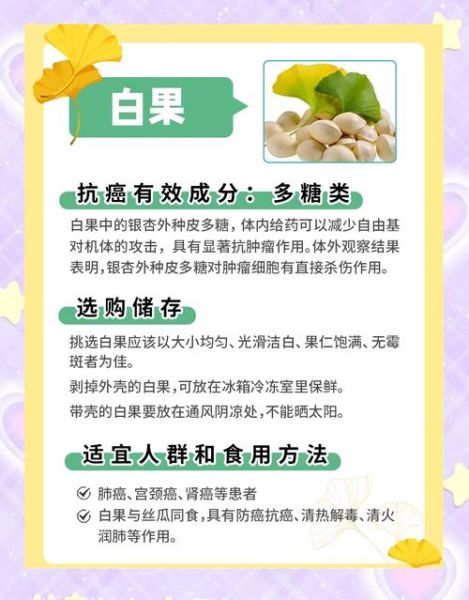 白果一天吃多少合适_白果的功效与作用及用量-第1张图片-山城妙识 白果一天吃多少合适_白果的功效与作用及用量-第1张图片-山城妙识