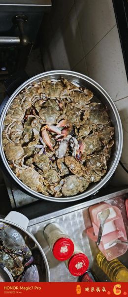 石蟹怎么做好吃_清蒸石蟹的做法步骤-第3张图片-山城妙识 石蟹怎么做好吃_清蒸石蟹的做法步骤-第3张图片-山城妙识