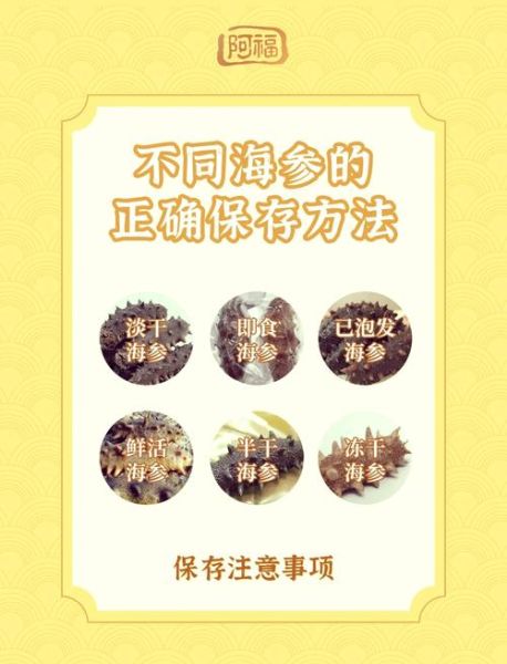 干海参怎么保存_干海参能放多久-第1张图片-山城妙识 干海参怎么保存_干海参能放多久-第1张图片-山城妙识