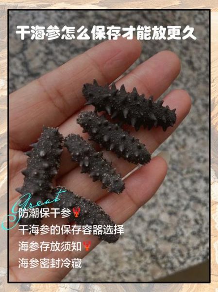干海参怎么保存_干海参能放多久-第3张图片-山城妙识 干海参怎么保存_干海参能放多久-第3张图片-山城妙识