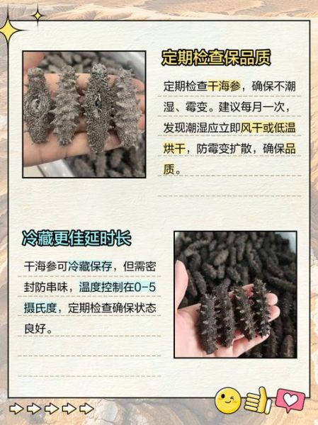 干海参怎么保存_干海参能放多久-第2张图片-山城妙识 干海参怎么保存_干海参能放多久-第2张图片-山城妙识