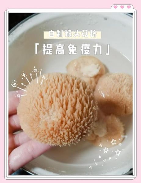 猴头菇干货怎么泡发_猴头菇泡发多久才软-第3张图片-山城妙识 猴头菇干货怎么泡发_猴头菇泡发多久才软-第3张图片-山城妙识