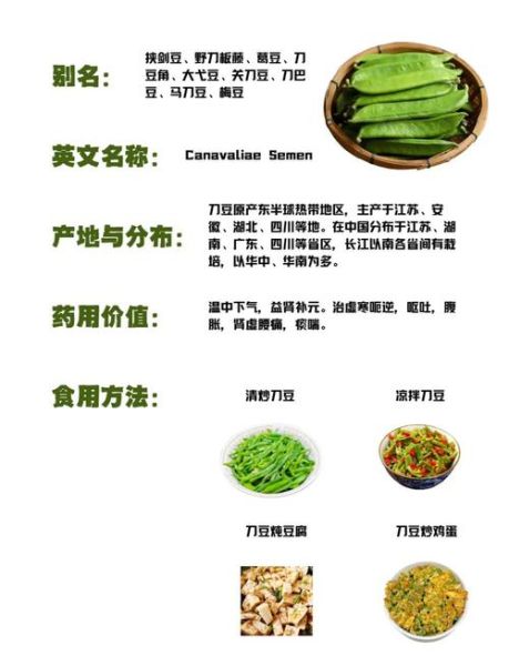 刀豆不能和什么一起吃_刀豆中毒怎么办-第2张图片-山城妙识