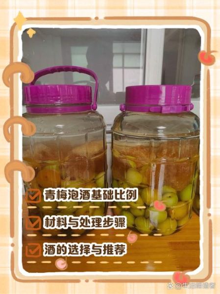 青梅酒的功效与作用_青梅酒怎么喝最好-第1张图片-山城妙识
