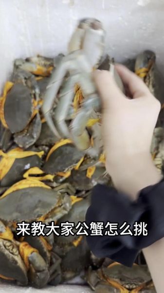 三门青蟹怎么挑选_三门青蟹价格多少钱一斤-第2张图片-山城妙识