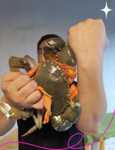 三门青蟹怎么挑选_三门青蟹价格多少钱一斤-第1张图片-山城妙识