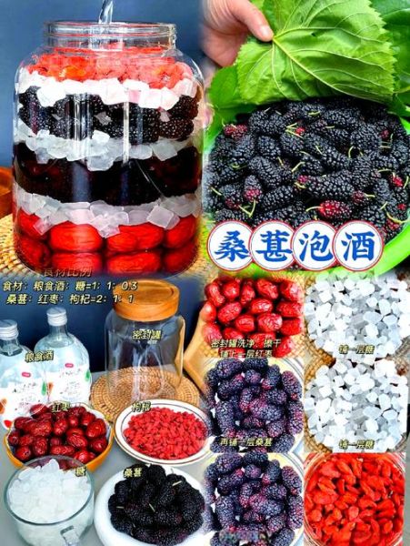 桑葚泡酒壮阳配方有哪些_桑葚与什么泡酒最补肾-第3张图片-山城妙识