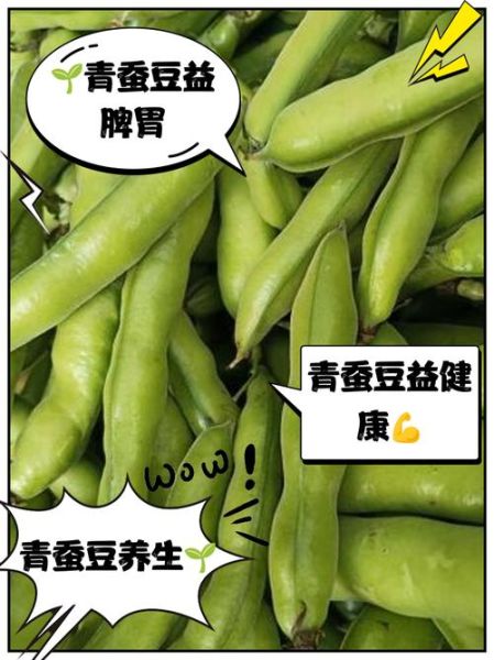 青蚕豆的功效与作用_青蚕豆怎么吃最营养-第1张图片-山城妙识
