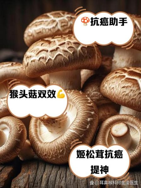 抗癌作用最强的菌菇_哪种菌菇抗癌效果最好-第1张图片-山城妙识 抗癌作用最强的菌菇_哪种菌菇抗癌效果最好-第1张图片-山城妙识