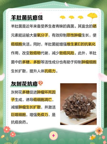 抗癌作用最强的菌菇_哪种菌菇抗癌效果最好-第2张图片-山城妙识 抗癌作用最强的菌菇_哪种菌菇抗癌效果最好-第2张图片-山城妙识