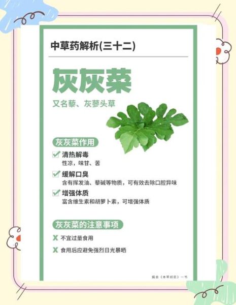 灰灰菜能吃吗_灰灰菜怎么吃安全-第1张图片-山城妙识