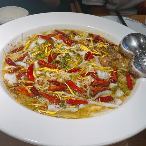 鲶鱼可以做酸菜鱼吗_酸菜鱼用什么鱼最好-第2张图片-山城妙识