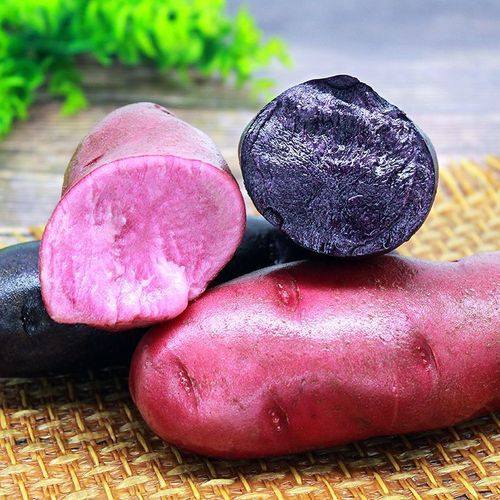 黑美人土豆怎么吃_黑美人土豆的做法大全-第1张图片-山城妙识