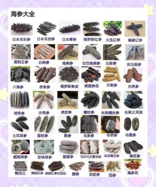 海参多少钱一斤_海参价格受哪些因素影响-第1张图片-山城妙识