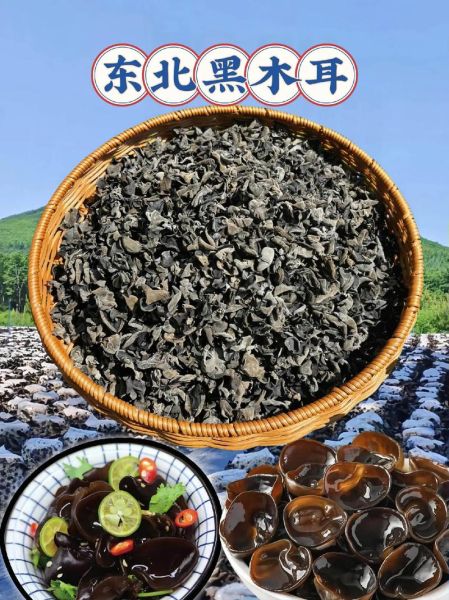 东北木耳哪里产的最好_东北木耳产地排行榜-第2张图片-山城妙识