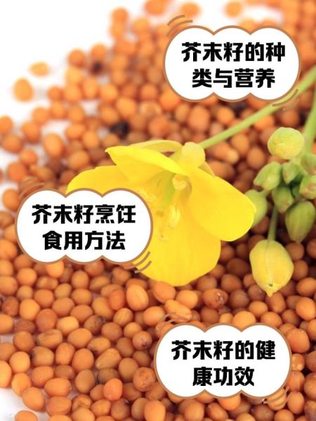 芥末是什么做的_芥菜籽怎么变成芥末-第1张图片-山城妙识 芥末是什么做的_芥菜籽怎么变成芥末-第1张图片-山城妙识