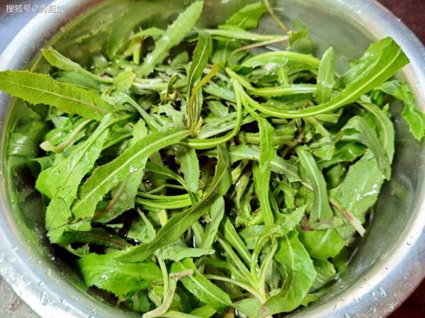 咳嗽不能吃什么菜_哪些蔬菜会加重咳嗽-第3张图片-山城妙识