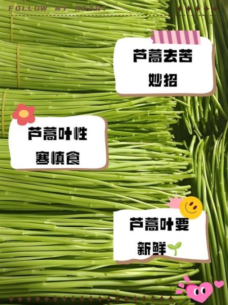 芦蒿叶子能不能吃_芦蒿叶子怎么吃-第1张图片-山城妙识