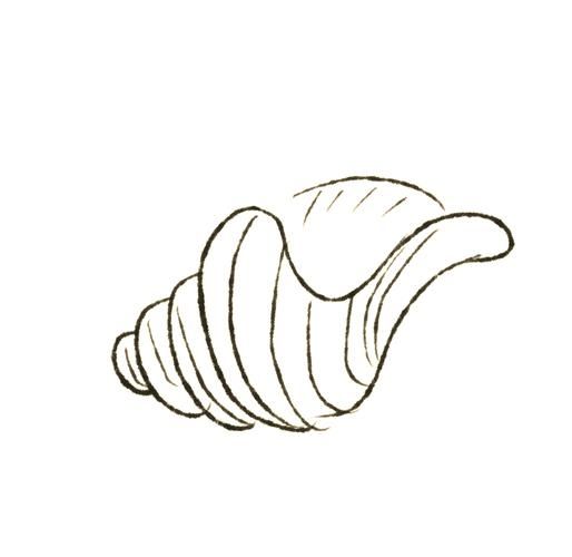 海螺简笔画怎么画_海螺简笔画步骤图-第2张图片-山城妙识