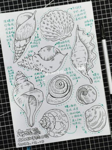 海螺简笔画怎么画_海螺简笔画步骤图-第1张图片-山城妙识