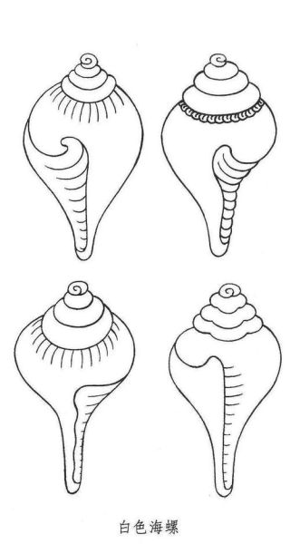 海螺简笔画怎么画_海螺简笔画步骤图-第3张图片-山城妙识