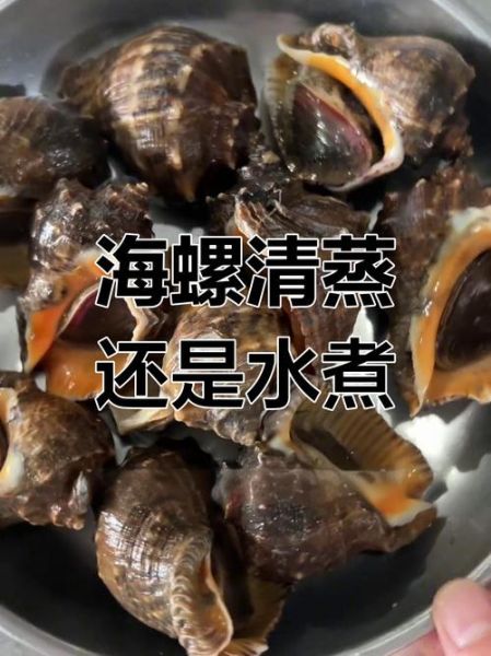 海螺开锅蒸几分钟好_海螺蒸多久才鲜嫩-第2张图片-山城妙识