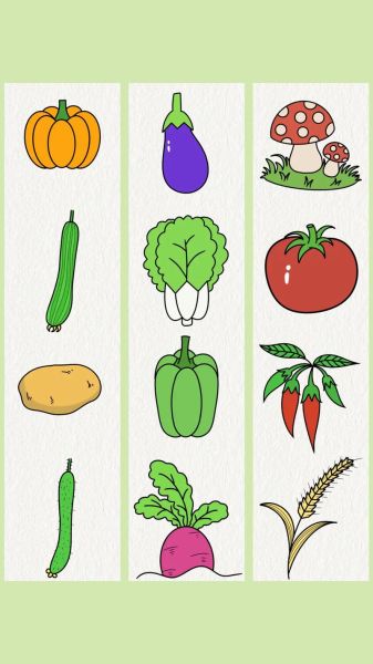 蔬菜水果简笔画怎么画_适合儿童的蔬菜水果简笔画教程-第3张图片-山城妙识