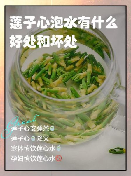 莲子心泡水一次放多少_莲子心泡水用量多少合适-第1张图片-山城妙识