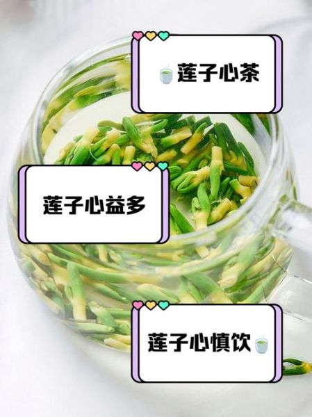 莲子心泡水一次放多少_莲子心泡水用量多少合适-第3张图片-山城妙识
