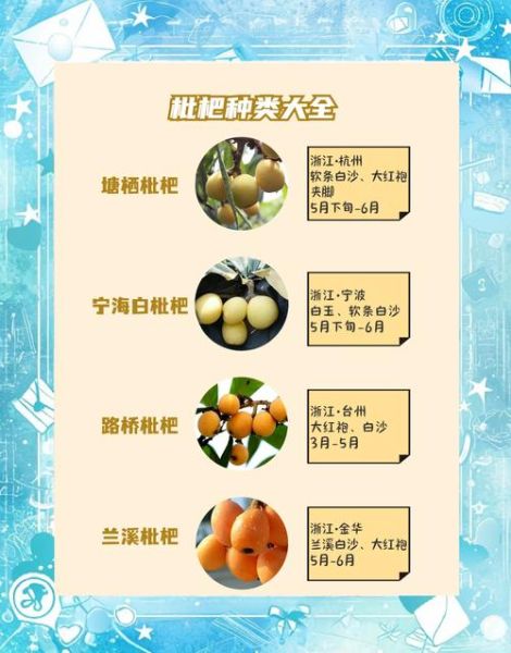 枇杷果实类型有哪些_如何区分枇杷品种-第3张图片-山城妙识