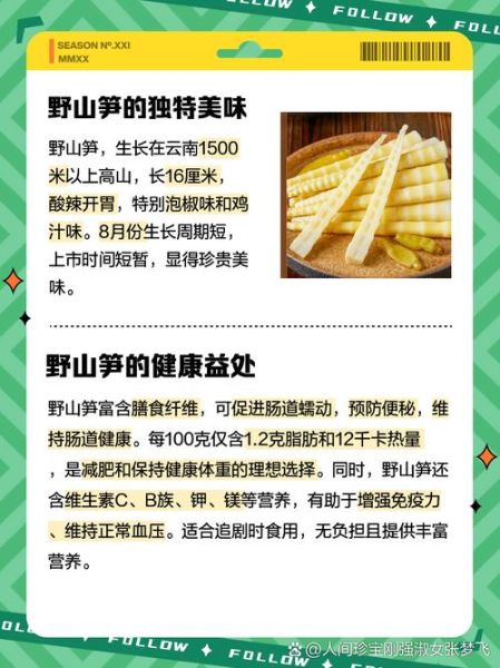 野笋的功效与作用_野笋的营养价值高吗-第1张图片-山城妙识 野笋的功效与作用_野笋的营养价值高吗-第1张图片-山城妙识