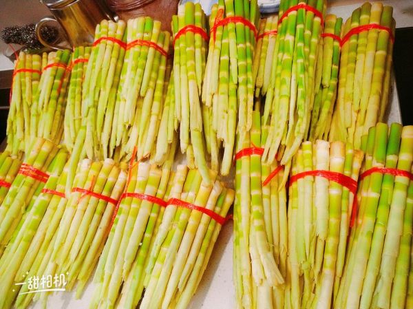 野笋的功效与作用_野笋的营养价值高吗-第3张图片-山城妙识 野笋的功效与作用_野笋的营养价值高吗-第3张图片-山城妙识