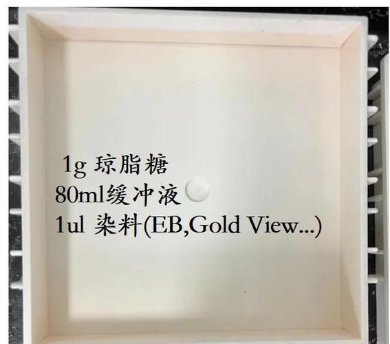 琼脂糖凝胶电泳条带怎么看_条带异常原因分析-第3张图片-山城妙识