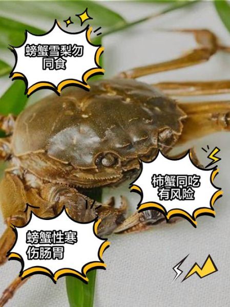 吃螃蟹不能吃什么食物相克_哪些食物与螃蟹同食会中毒-第3张图片-山城妙识 吃螃蟹不能吃什么食物相克_哪些食物与螃蟹同食会中毒-第3张图片-山城妙识