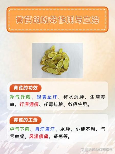 黄芪的功效与作用禁忌_黄芪怎么吃效果最好-第3张图片-山城妙识