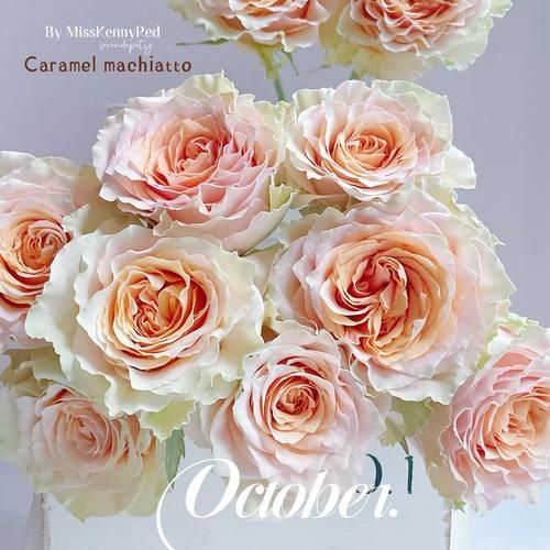 焦糖玛奇朵英文缩写是什么_Caramel Macchiato简称CM吗-第1张图片-山城妙识 焦糖玛奇朵英文缩写是什么_Caramel Macchiato简称CM吗-第1张图片-山城妙识