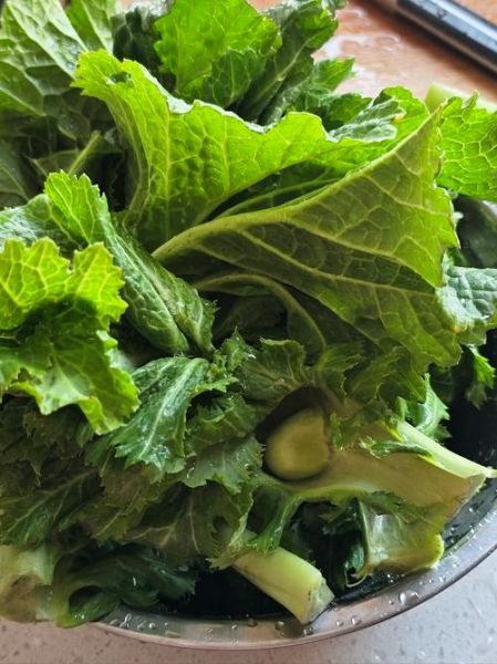 芥菜不焯水可以直接炒吗_芥菜炒前要不要焯水-第2张图片-山城妙识 芥菜不焯水可以直接炒吗_芥菜炒前要不要焯水-第2张图片-山城妙识