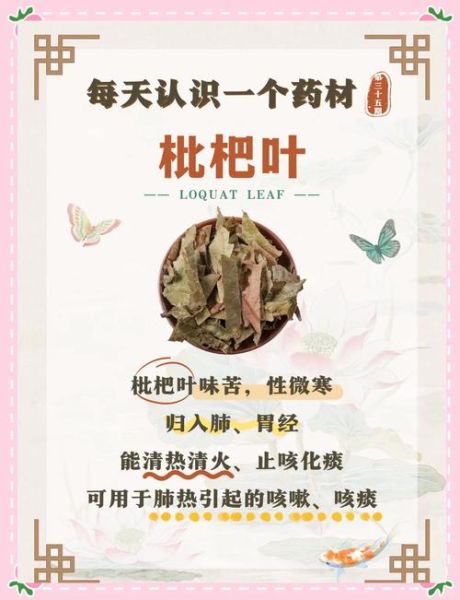 枇杷叶的功效与作用是什么_枇杷叶能治什么病-第1张图片-山城妙识