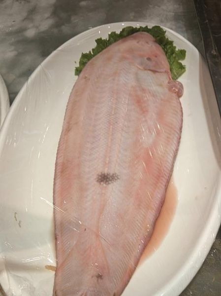 牛舌头鱼多少钱一斤_牛舌头鱼价格走势-第1张图片-山城妙识 牛舌头鱼多少钱一斤_牛舌头鱼价格走势-第1张图片-山城妙识