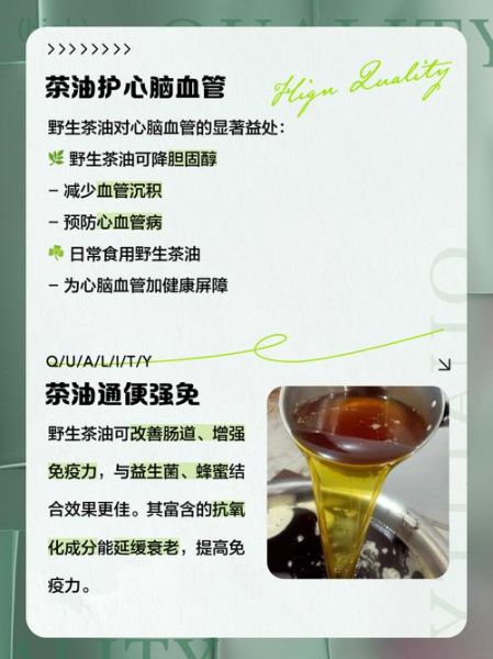 茶油的功效与作用_茶油怎么吃最好-第3张图片-山城妙识