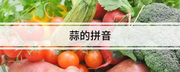 蒜的拼音怎么读_蒜的拼音和意思是什么-第2张图片-山城妙识