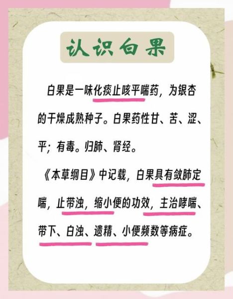 白果治疗妇科病偏方_白果怎么吃最管用-第3张图片-山城妙识